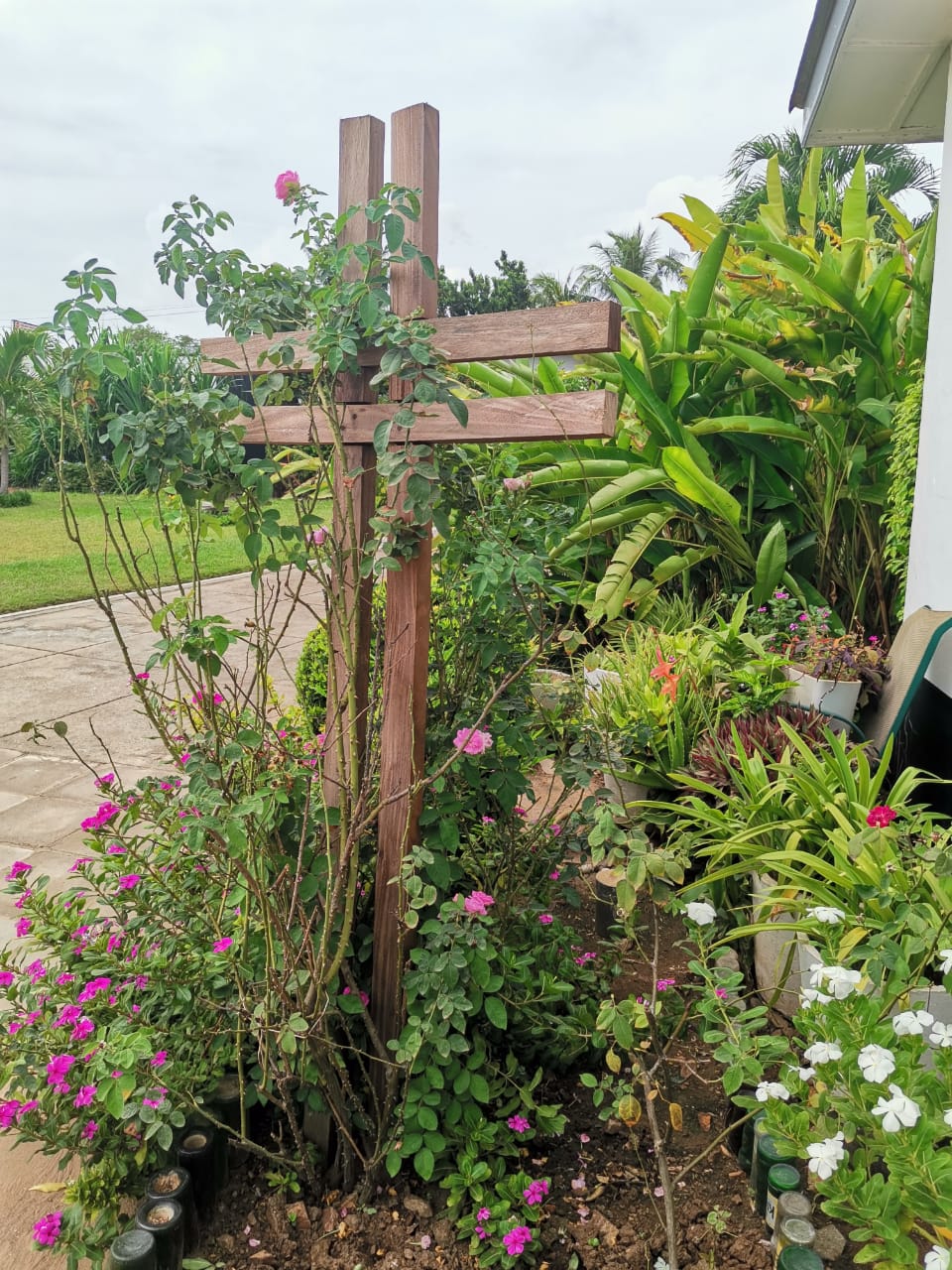 REFLECTIONS FROM G-GARDENS | GH-Hospitality Hub